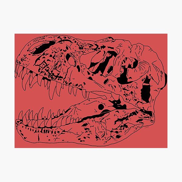 "T-Rex Line Art Realism png Black" Photographic Print for Sale by cass ...