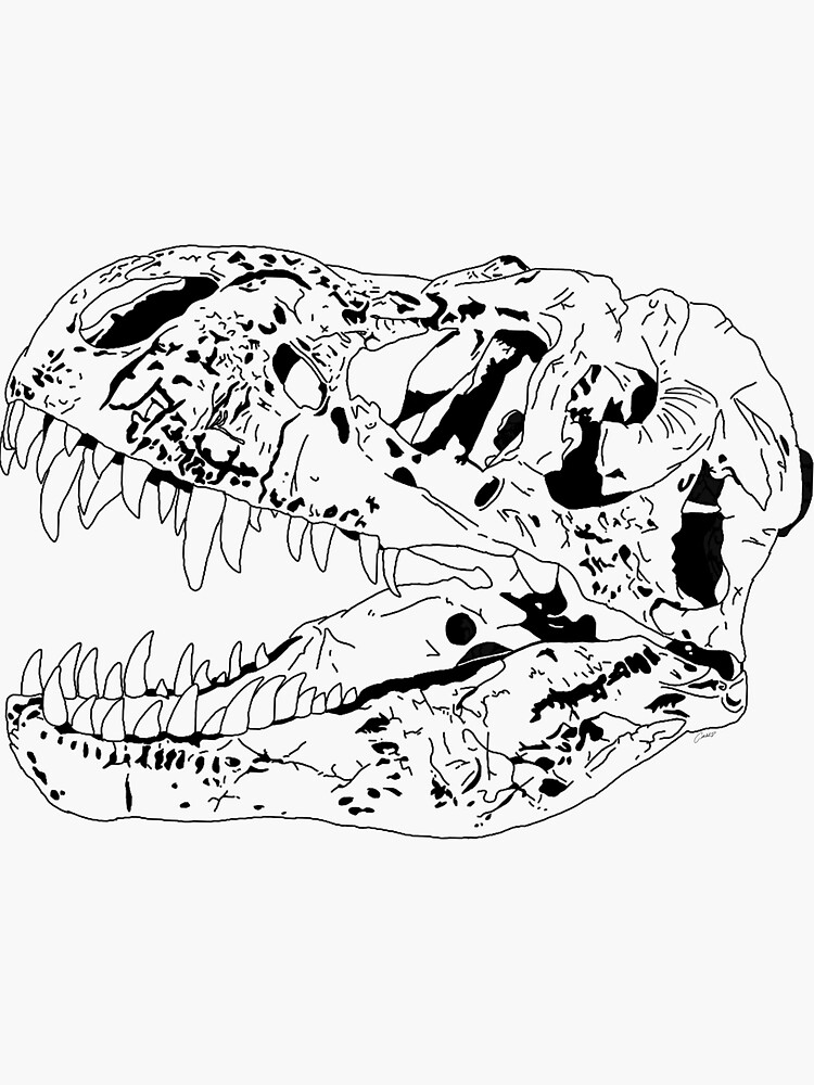 "T-Rex Line Art Realism png Black" Sticker by cass-prinz | Redbubble