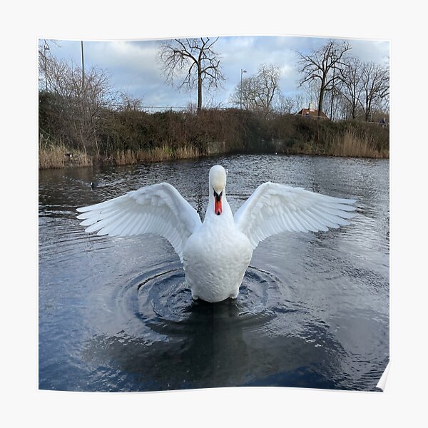 "Swan Angel 1.1" Poster for Sale by Mortinus | Redbubble