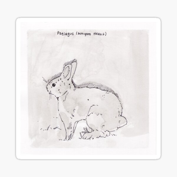 "Bunyoro Rabbit (Poelagus)" Sticker by ZXER | Redbubble