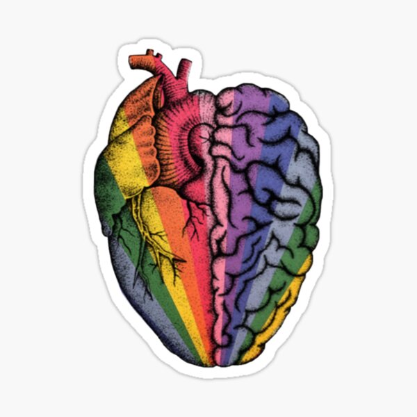 "Pride heart/brain " Sticker by leojj | Redbubble