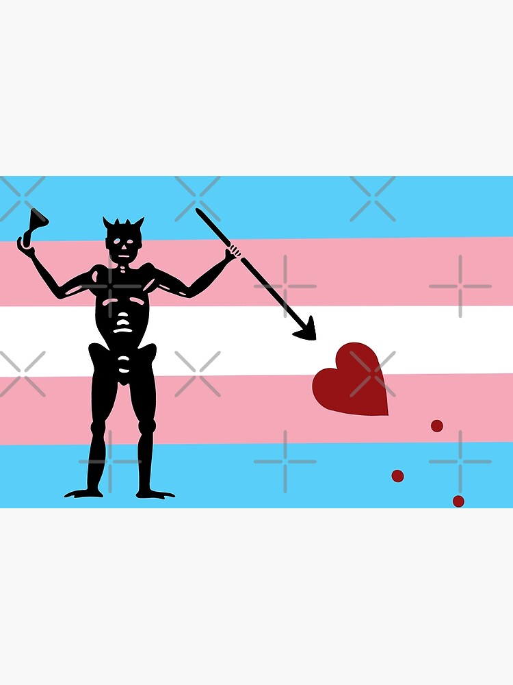 "Pirate pride flag transgender Blackbeard" Art Print by Theoldgirl900 ...