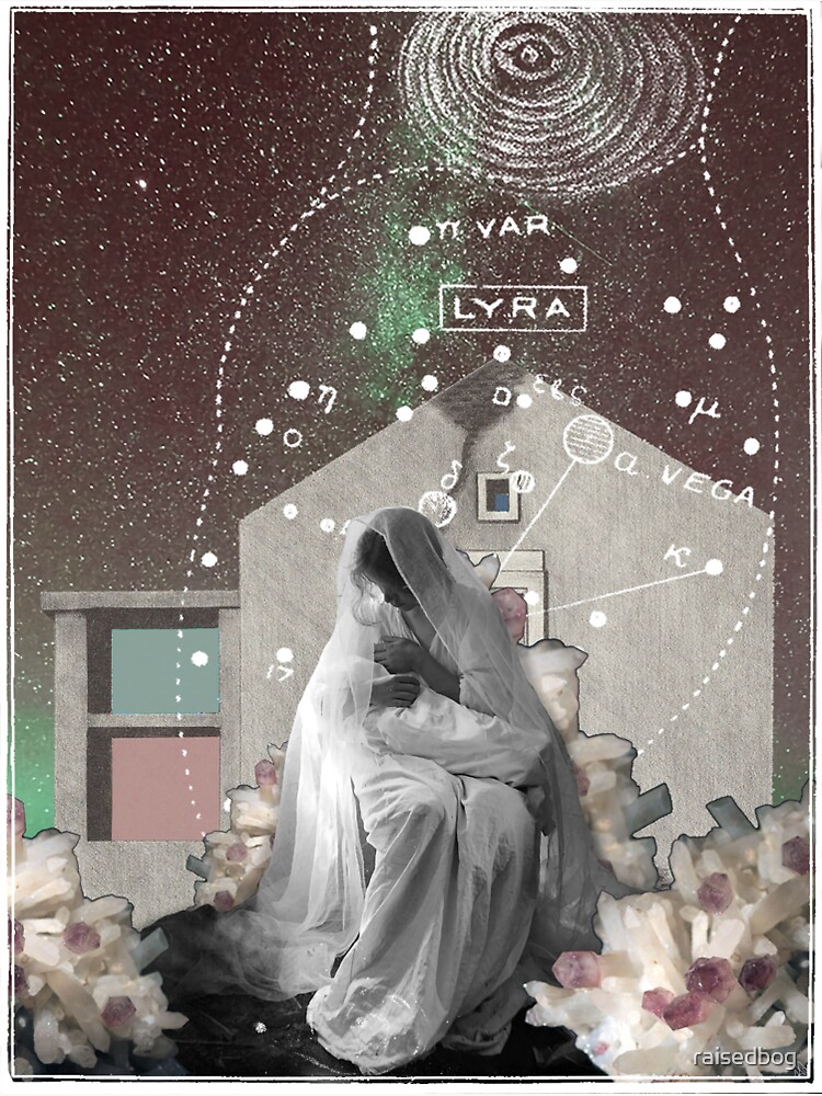 "lyra" Sticker by raisedbog | Redbubble