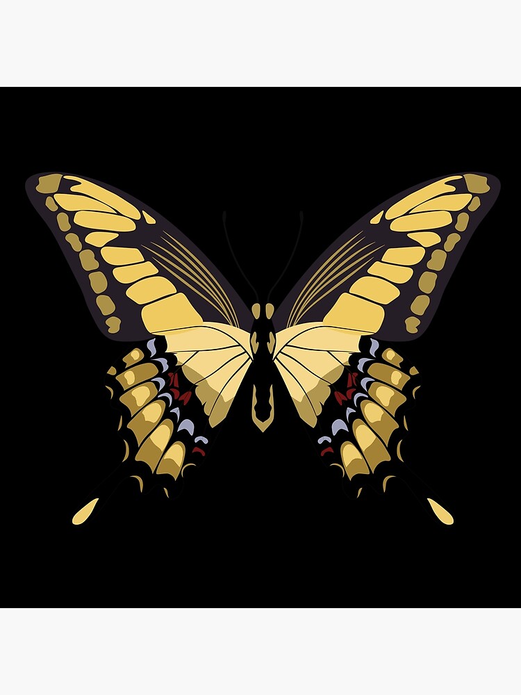 "BUTTERFLY MEGA pack" Poster for Sale by stickers-packs | Redbubble
