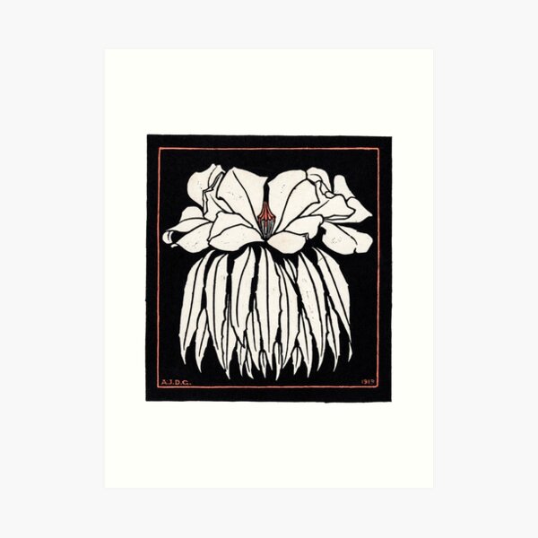 "Gothic flower illustration - Godetia" Art Print for Sale by ...