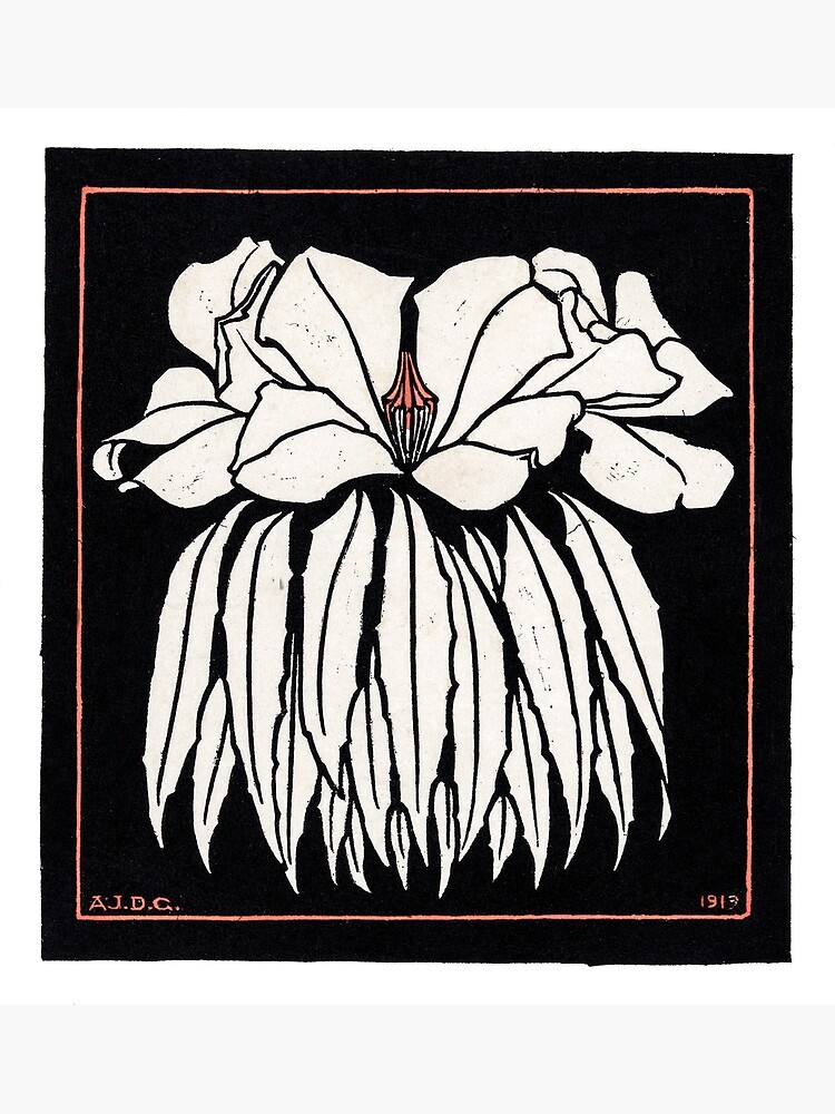 "Gothic flower illustration - Godetia" Art Print for Sale by ...