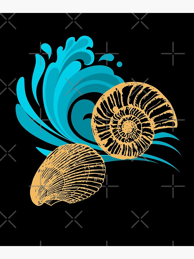 "Sea shells -Digital Illustration" Poster for Sale by ARTEMBASSY ...