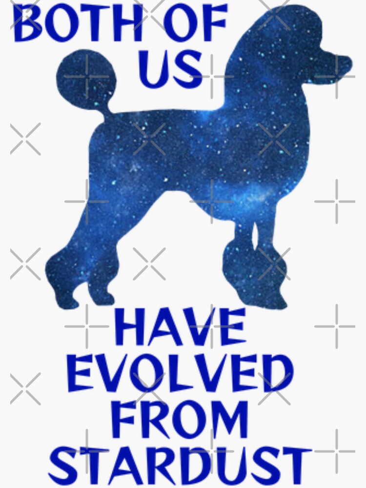 "Midnight Blue Sapphire Milky Way Galaxy Poodle - Both Of Us Have ...