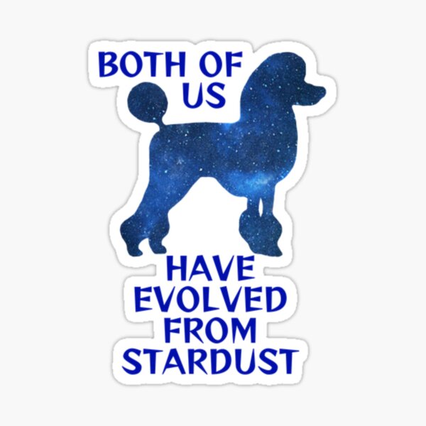 "Midnight Blue Sapphire Milky Way Galaxy Poodle - Both Of Us Have ...