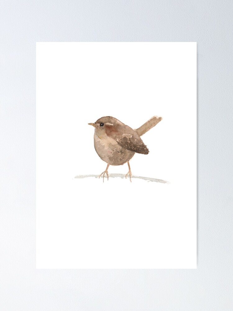 "Carolina Wren Poster, Carolina Wren Illustration, Animal Bird Art ...