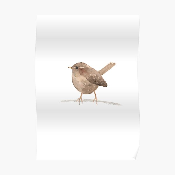 "Carolina Wren Poster, Carolina Wren Illustration, Animal Bird Art ...