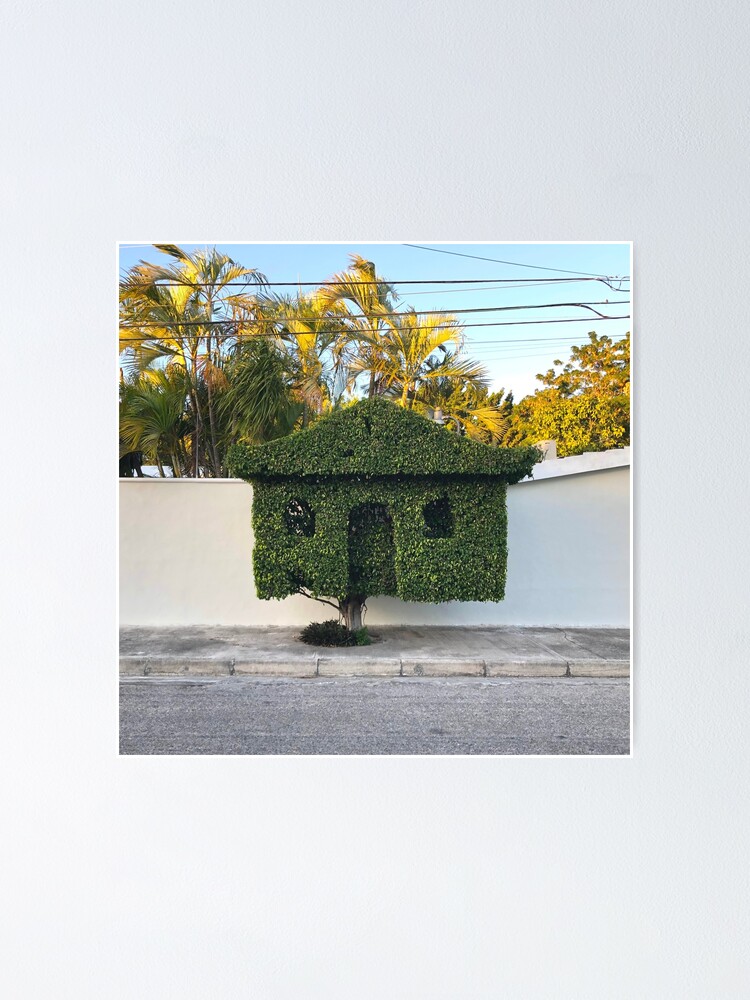 "The Hedge House in Merida" Poster for Sale by YemmyZImages | Redbubble