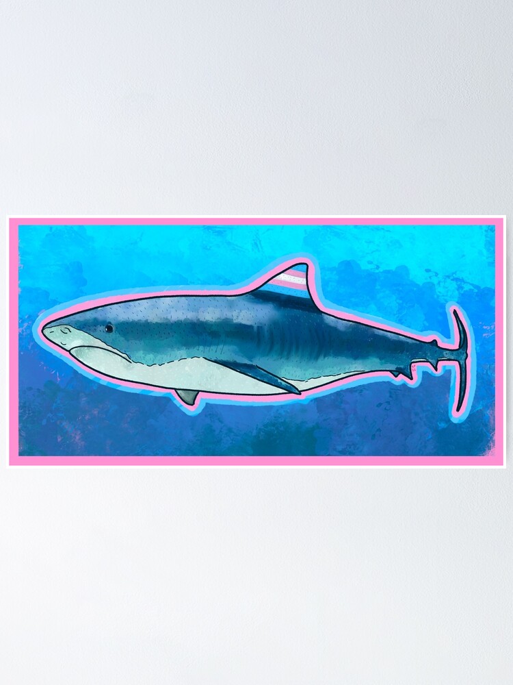 "Transgender Shark Trans Pride " Poster for Sale by kylepeterart ...