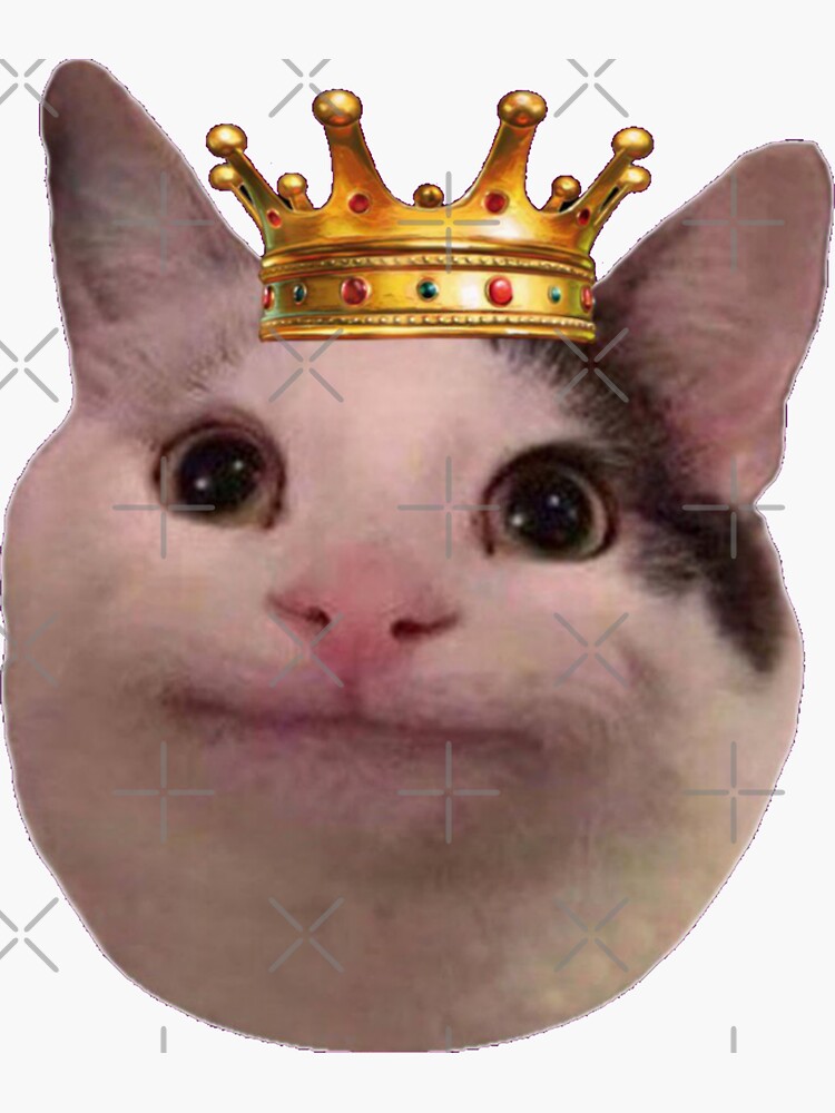 "King Beluga Cat" Sticker by mo91 | Redbubble