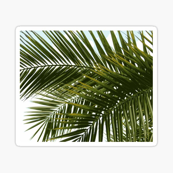 "Tropical Palm Leaf" Sticker by MyArt23 | Redbubble