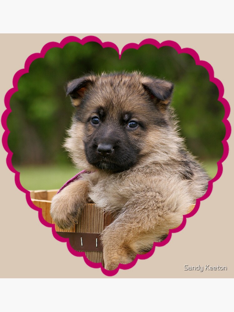"Sable Puppy in Heart" Sticker by SandyK | Redbubble