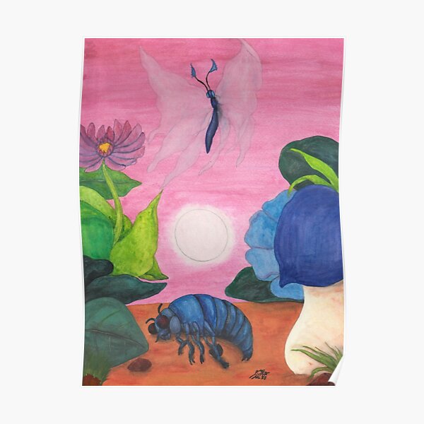 Poster « Insecte papillon transformation art métamorphose illustration ...