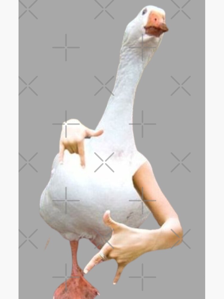 "duck with hands" Poster for Sale by Adila2045 | Redbubble