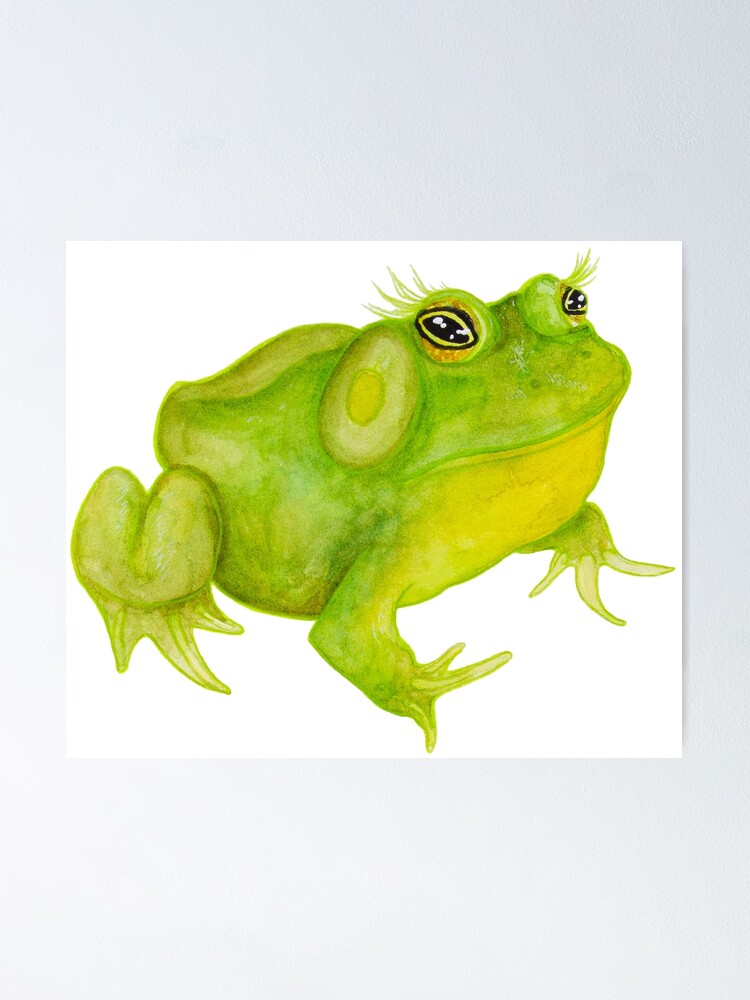 Póster «Rana en acuarela y lápiz de color.» de Chantellearts | Redbubble