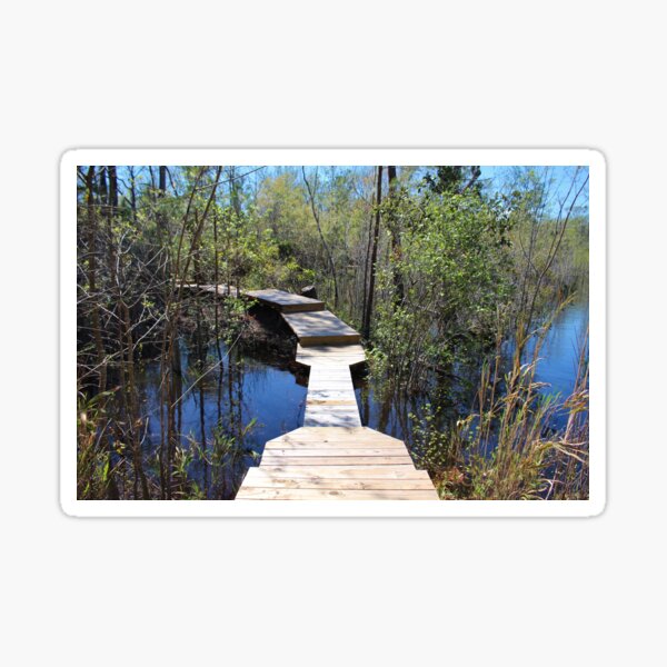 "Crossing The Swamp" Sticker for Sale by Cynthia48 | Redbubble