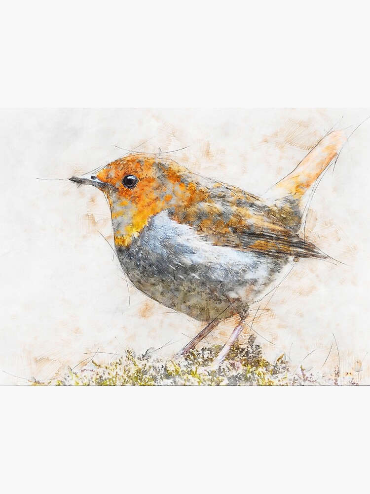 "Hand Drawn, Digital Painted Red Breasted Robin" Poster by ...