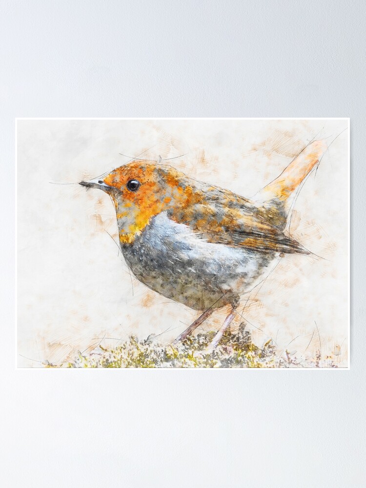 "Hand Drawn, Digital Painted Red Breasted Robin" Poster by ...