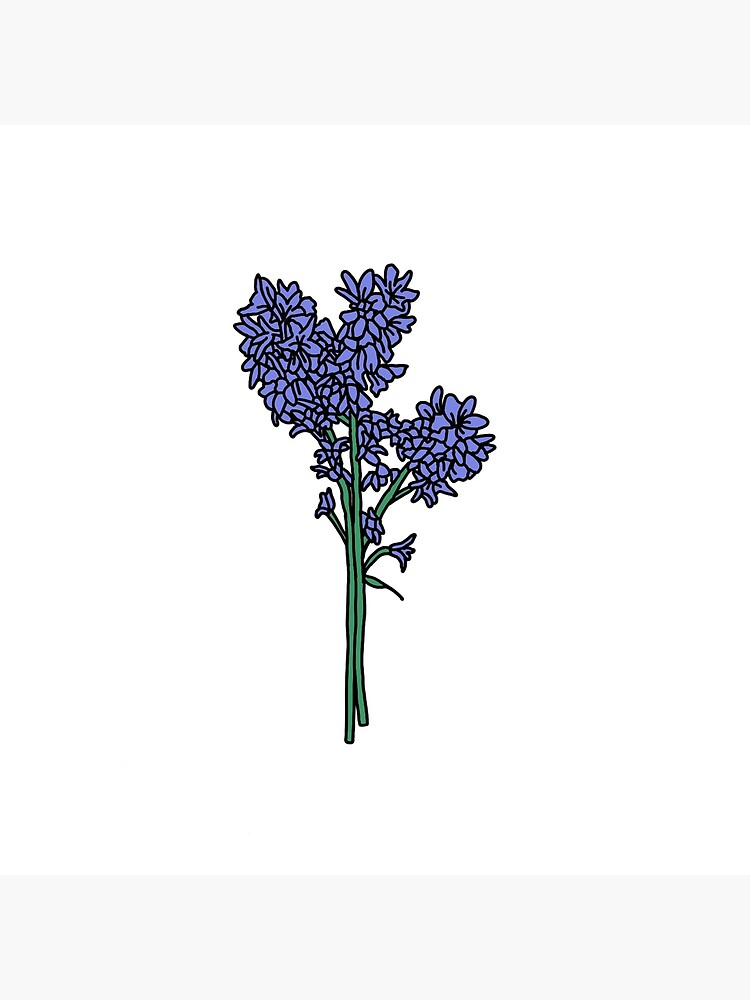 "Bluebell aesthetic design " Poster for Sale by Holly-berry-art | Redbubble