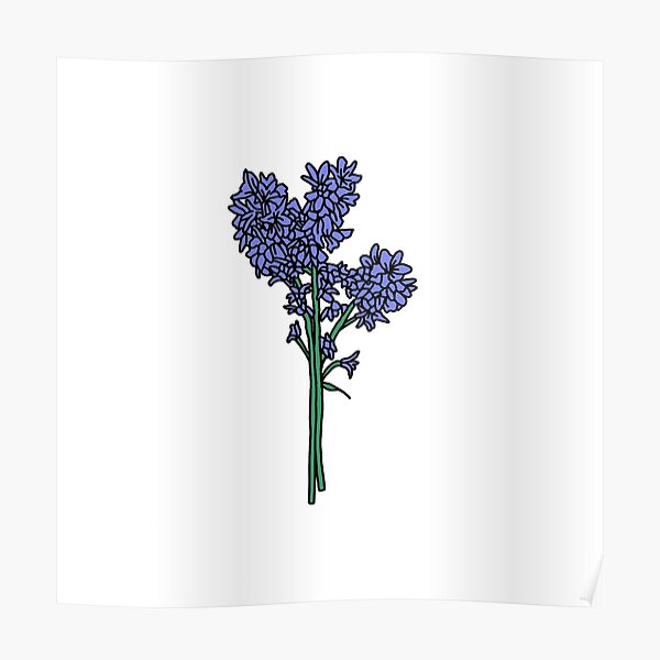 "Bluebell aesthetic design " Poster for Sale by Holly-berry-art | Redbubble