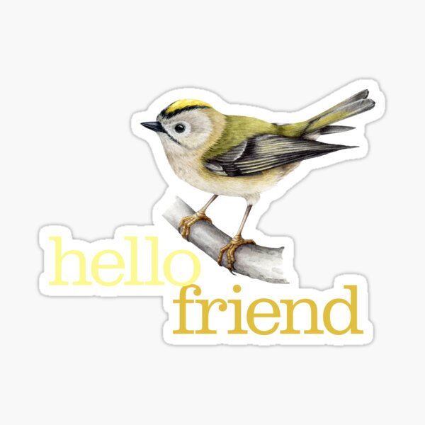 "hello friend" Sticker for Sale by SouthernMinnGuy | Redbubble