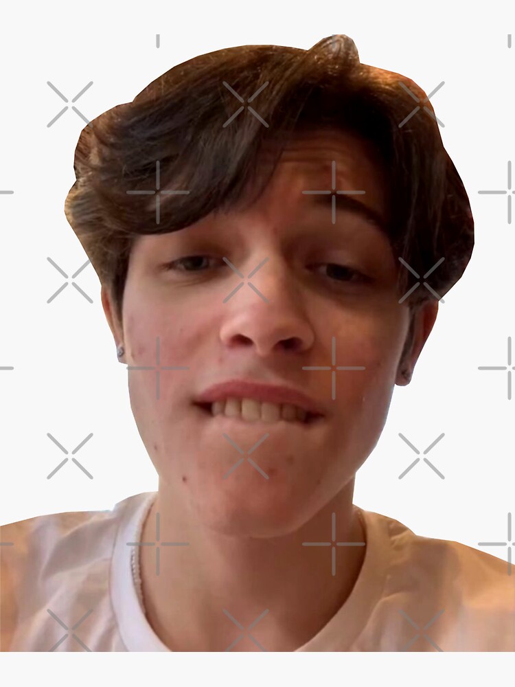 "Matt Sturniolo" Sticker by beeeboooop | Redbubble