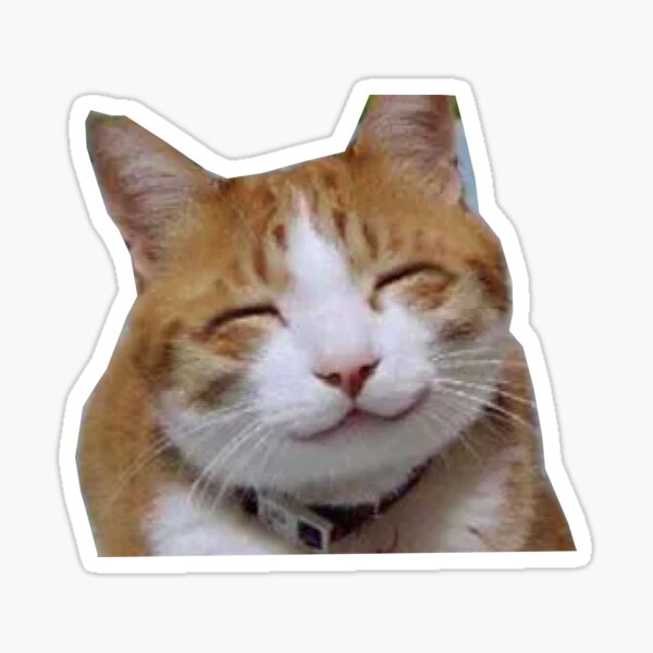"Cute smiling cat (Funny)" Sticker by omarelhajjam | Redbubble