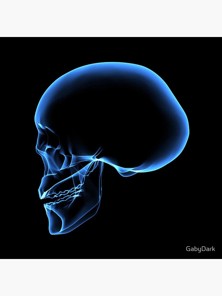 "neon skull" Sticker by GabyDark | Redbubble