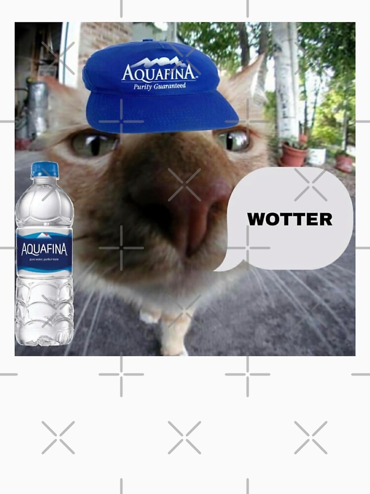 "Demotivational Wotter Cat Meme Fanter Floppa" Pullover Hoodie by ...