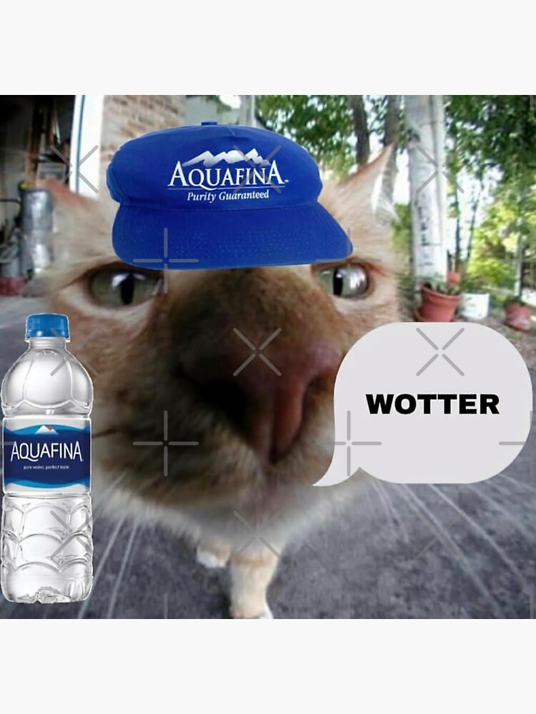 "Demotivational Wotter Cat Meme Fanter Floppa" Sticker by fomodesigns ...