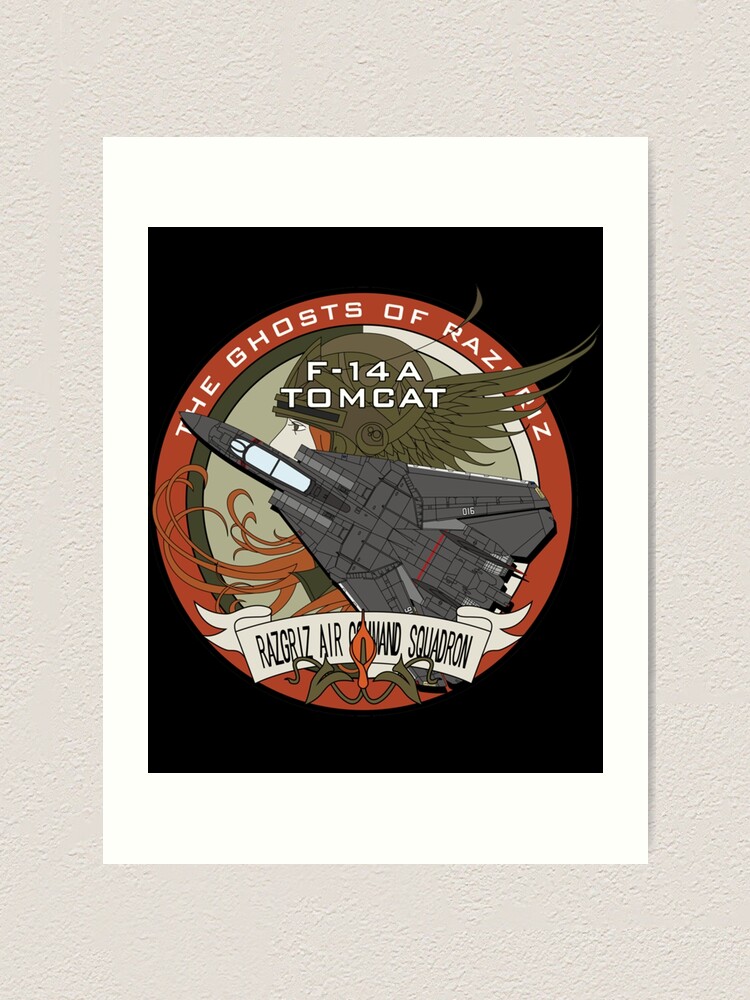 "Ace Combat F-14A Tomcat Razgriz Squadron " Art Print for Sale by ...