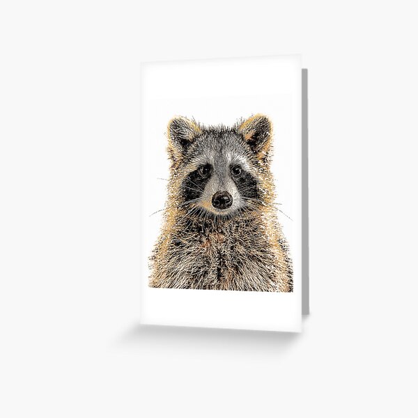Tarjetas de felicitación «Linda cara de mapache americano vintage ...