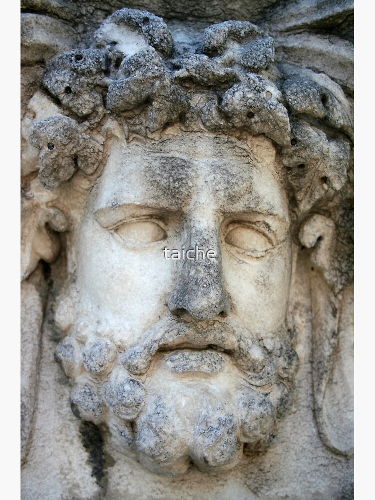 "Relief of A God Greco Roman Classical Portrait" Poster by taiche ...