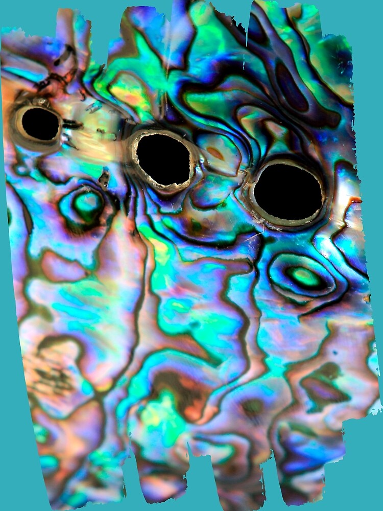 "Aotearoa Anga Paua - Maori Design - New Zealand Paua Shell" Poster by ...