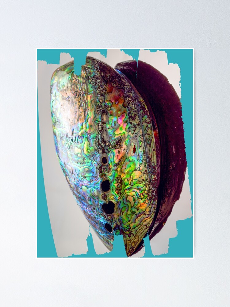 "Aotearoa Anga Paua - Maori Design - New Zealand Paua Shell in 3D ...