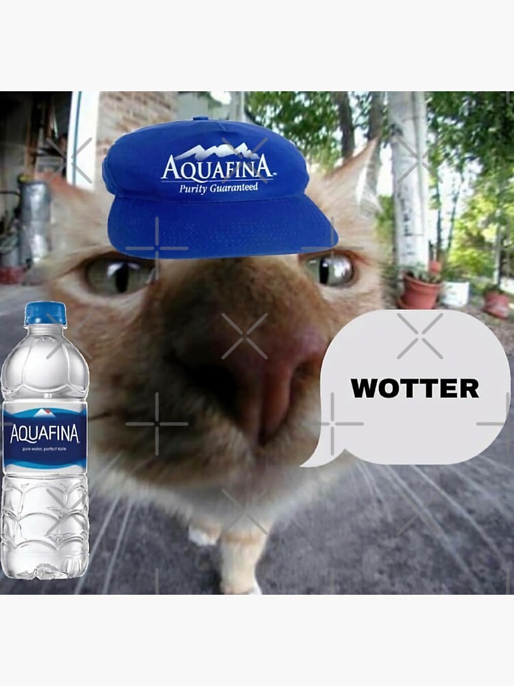 "Caracal Wotter Cat Meme Fanter Big Floppa" Art Print for Sale by ...