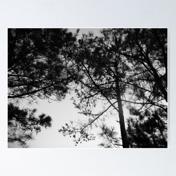 Dsbm Merch & Gifts for Sale | Redbubble