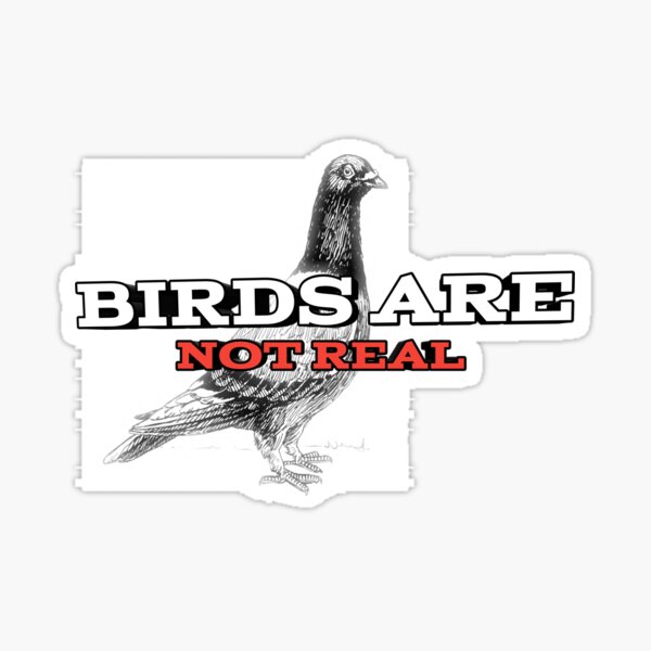 "birds are not real " Sticker by MohammedQahtani | Redbubble