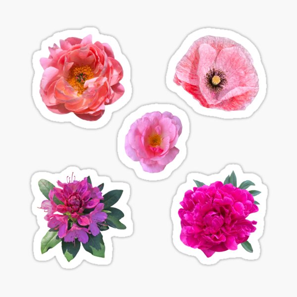 "Pink Spring Blooms Sticker Set" Sticker for Sale by stardoodler ...