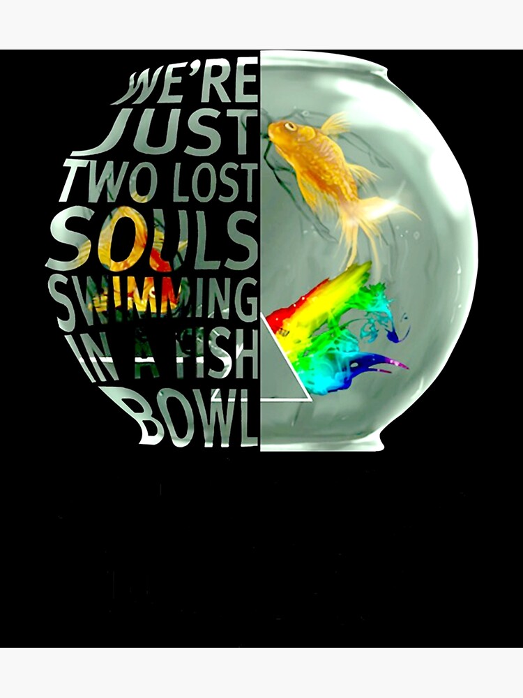 "Pink Floyd Album We Are Just Two Lost Souls Swimming In A Fish Bowl ...