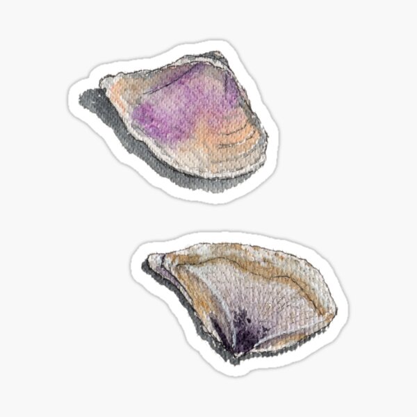"Sea Clam Shells Watercolor " Sticker by euniza | Redbubble