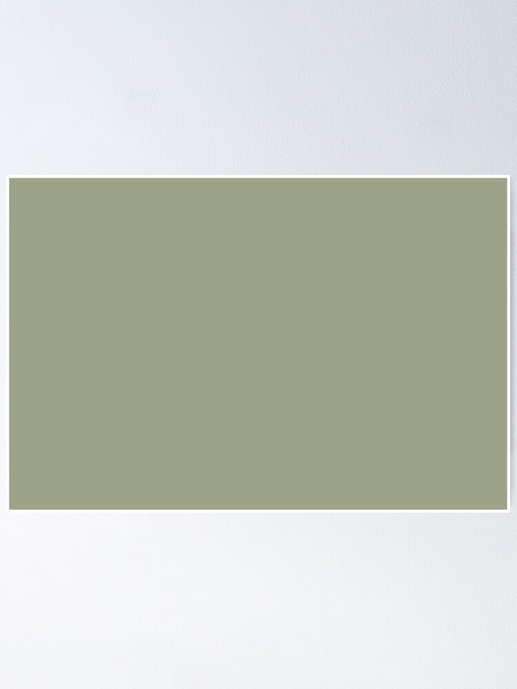 "Medium Spring Green Gray Solid Color Pairs PPG Edamame PPG1030-4 - All ...