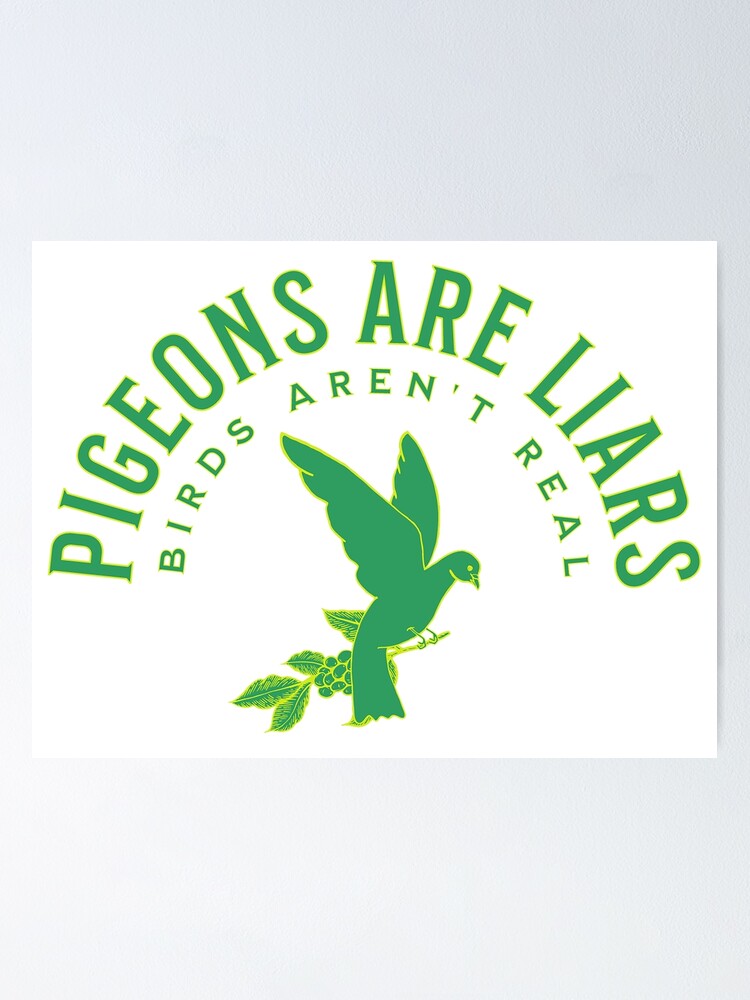 "Pigeons Are Liars Birds Are Not Real" Poster for Sale by frigamribe88 ...