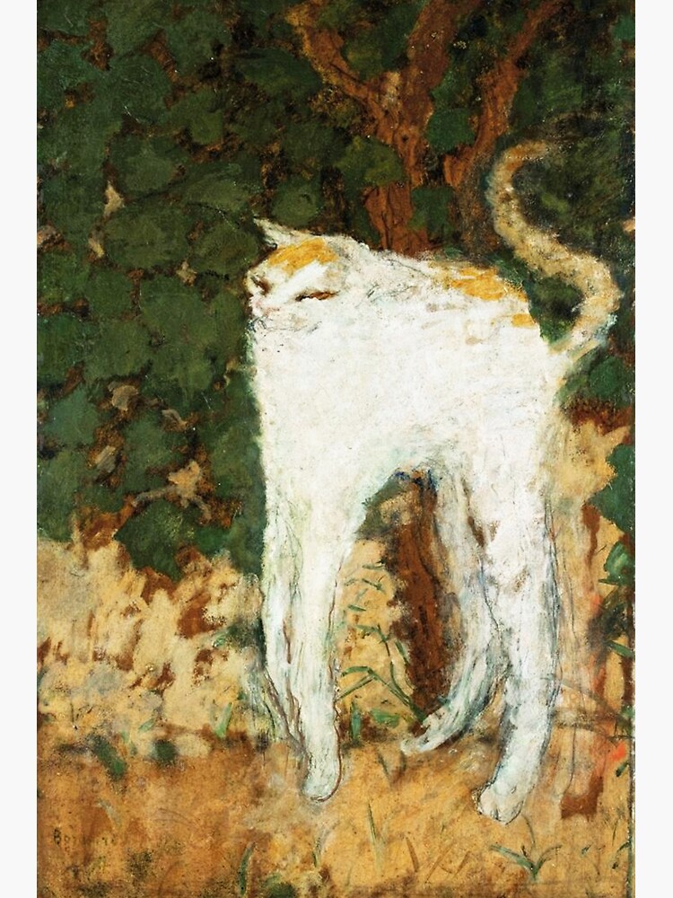 "The White Cat Original Painting by Pierre Bonnard 1894" Poster by ...