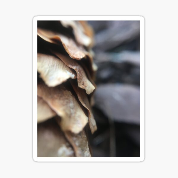 "On the Ground" Sticker for Sale by Roaming-Lens | Redbubble