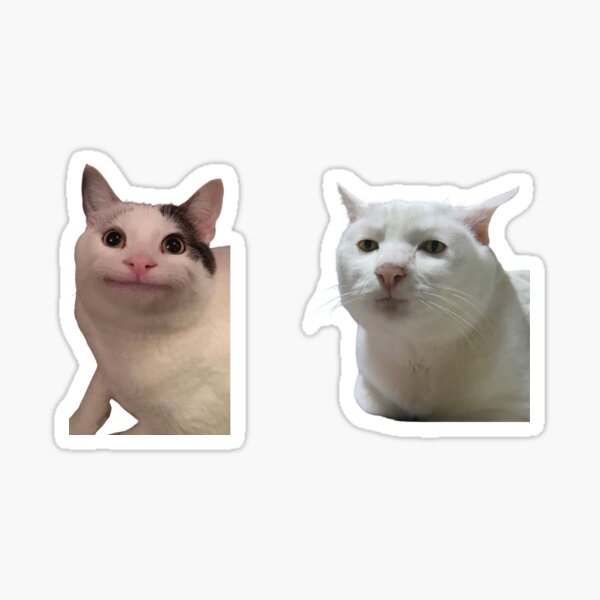 "Funny Meme of Cats Volume 1 Ep 2" Sticker by M-ale | Redbubble